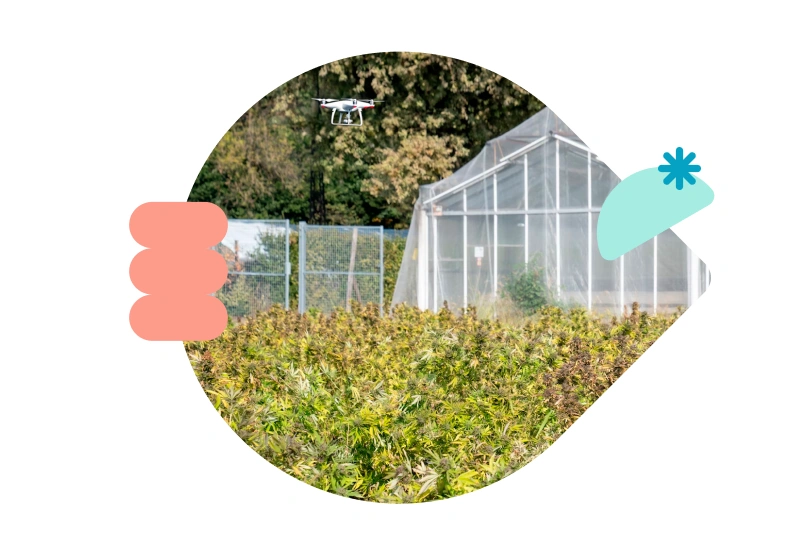 Modern Cannabis Cultivation Technologies: 7 Innovations Revolutionizing ...