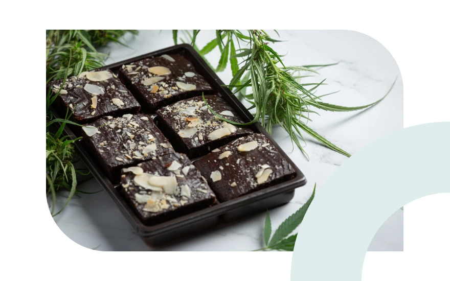 Understanding Cannabinoids for Cannabis Businesses