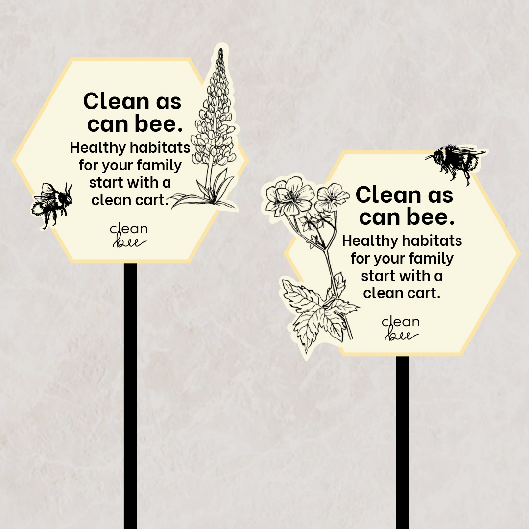 Clean Bee — Stephanie Liszewski, designer and illustrator