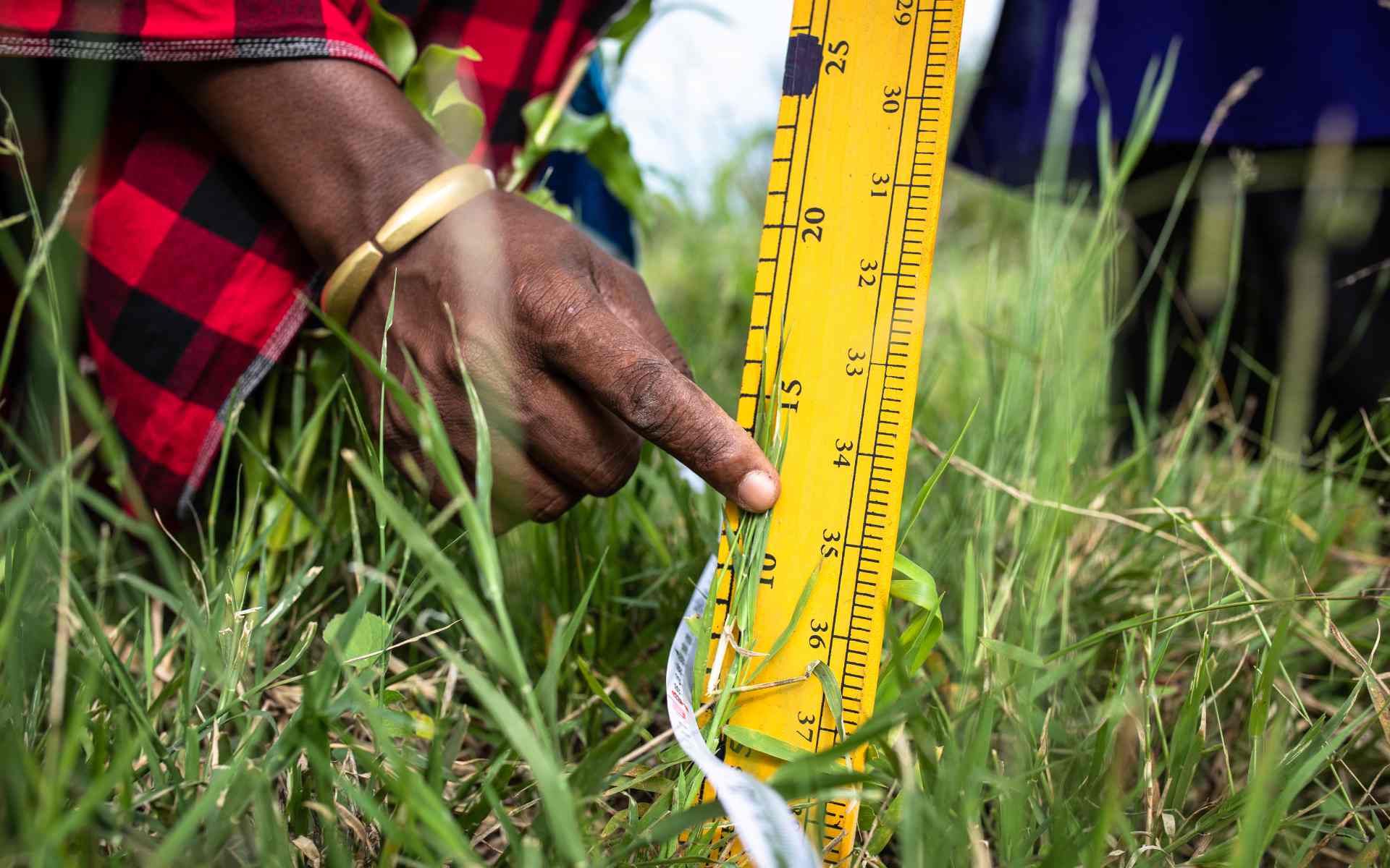 Sustainable Livelihoods - African People & Wildlife