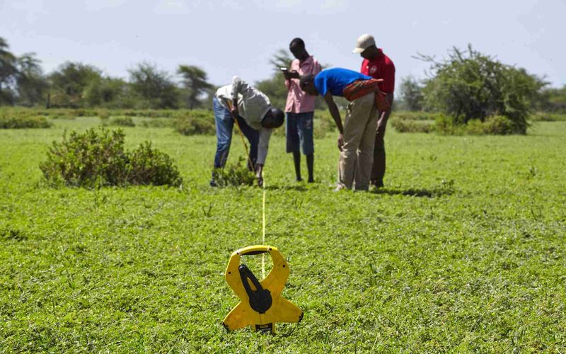 Sustainable Rangelands Initiative - African People & Wildlife