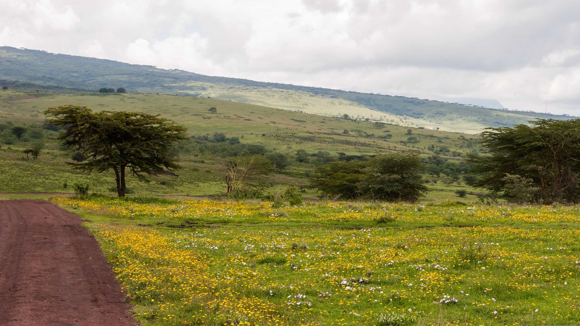Serengeti Ecosystem | Ngorongoro Conservation Area