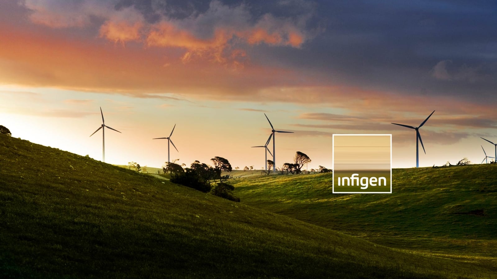 Propella Agency | Infigen Energy | Energy Case History