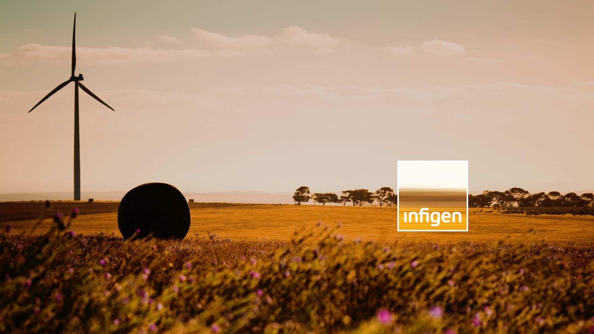 Propella Agency | Infigen Energy | Energy Case History