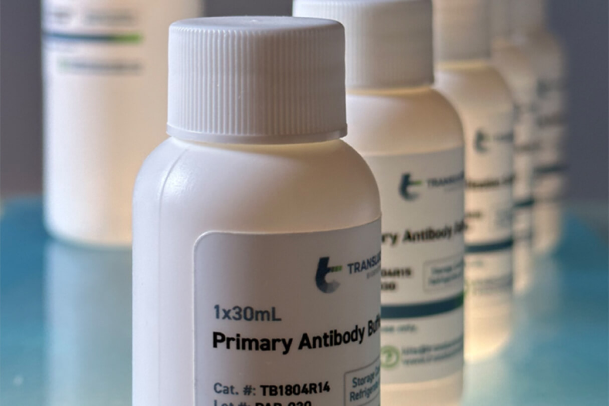 Universal Tissue Clearing Kit | Straightforward iDISCO-based clearing