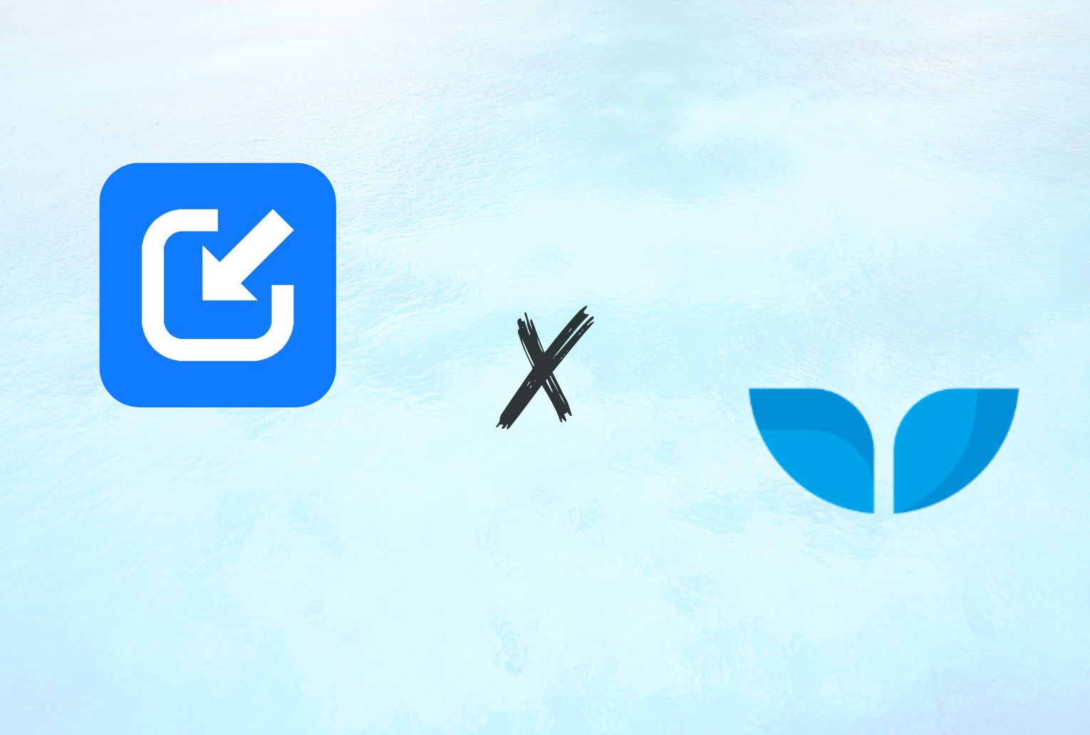 Whalesync + Data Fetcher: What’s the Difference?