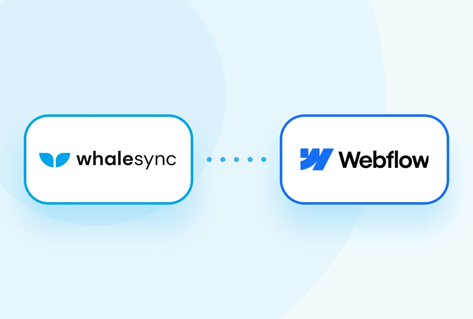 Whalesync in the Wild: Graphext