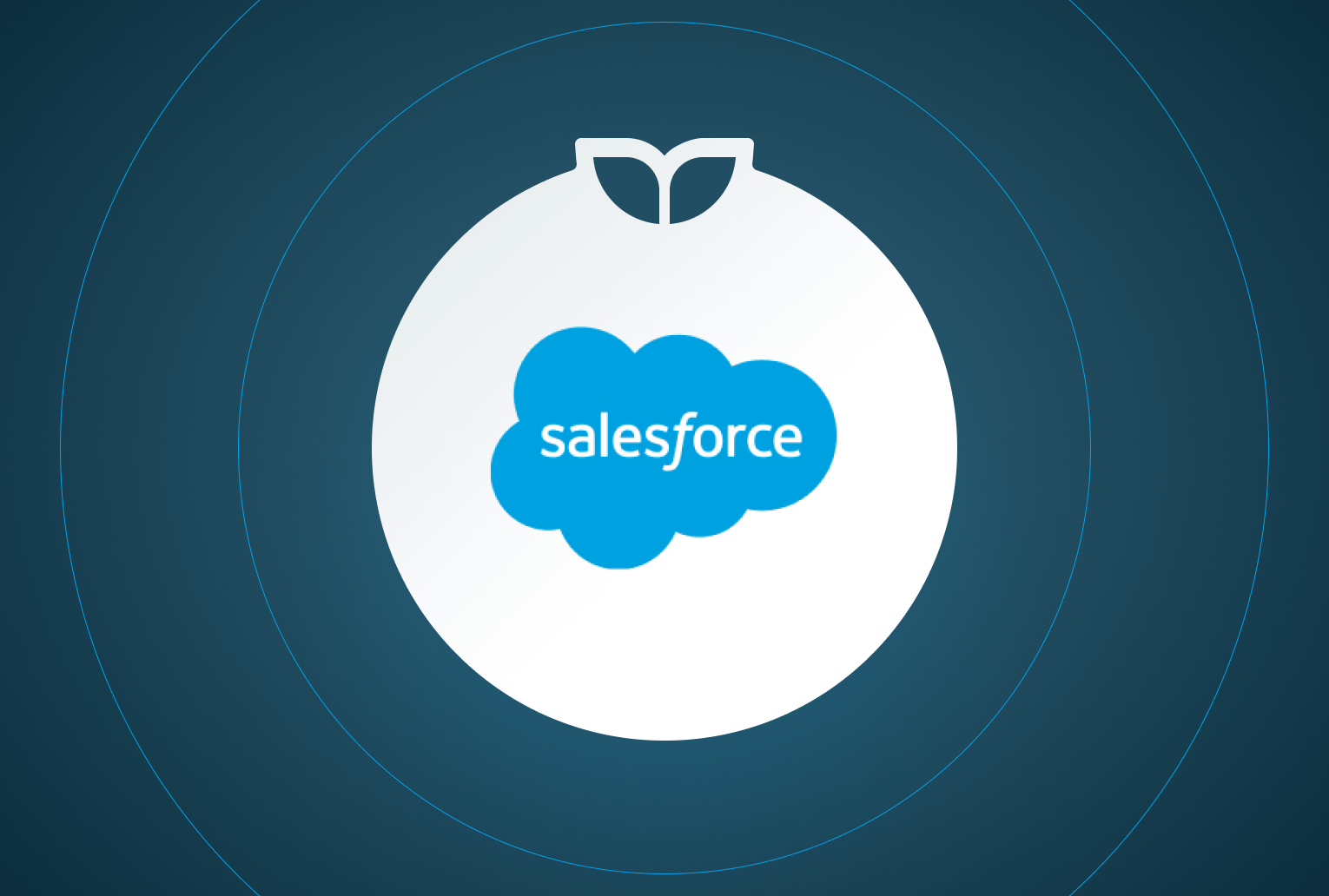 Salesforce Connector! Salesforce Connector!
