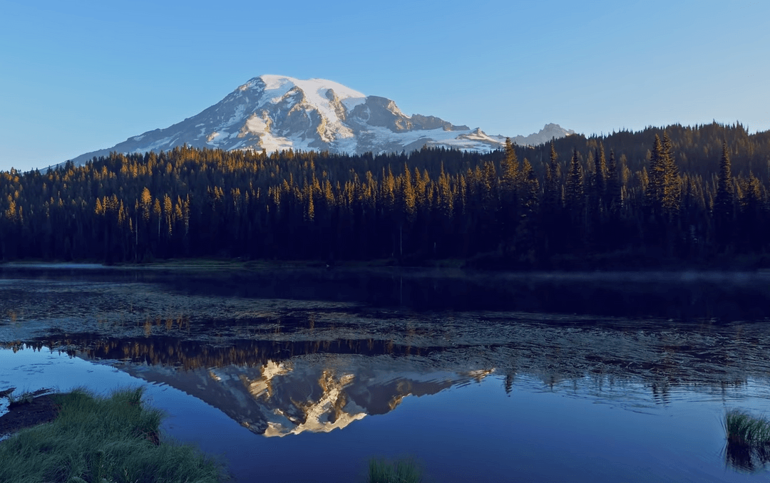 LifeAt: Your zenful workspace for task management & deep focus