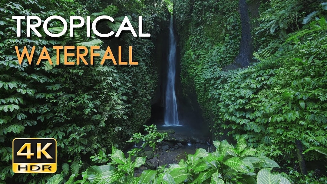 LifeAt: Explore your virtual focus environment