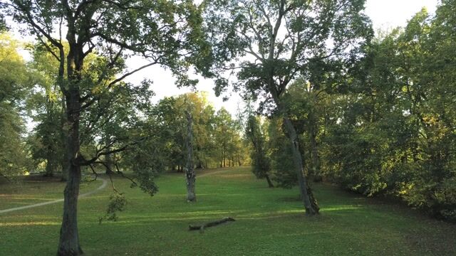 LifeAt: Explore your virtual focus environment