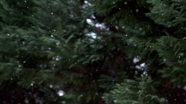 LifeAt: Explore your virtual focus environment