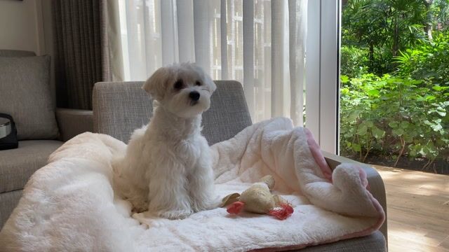 LifeAt: Personalize your focus environment