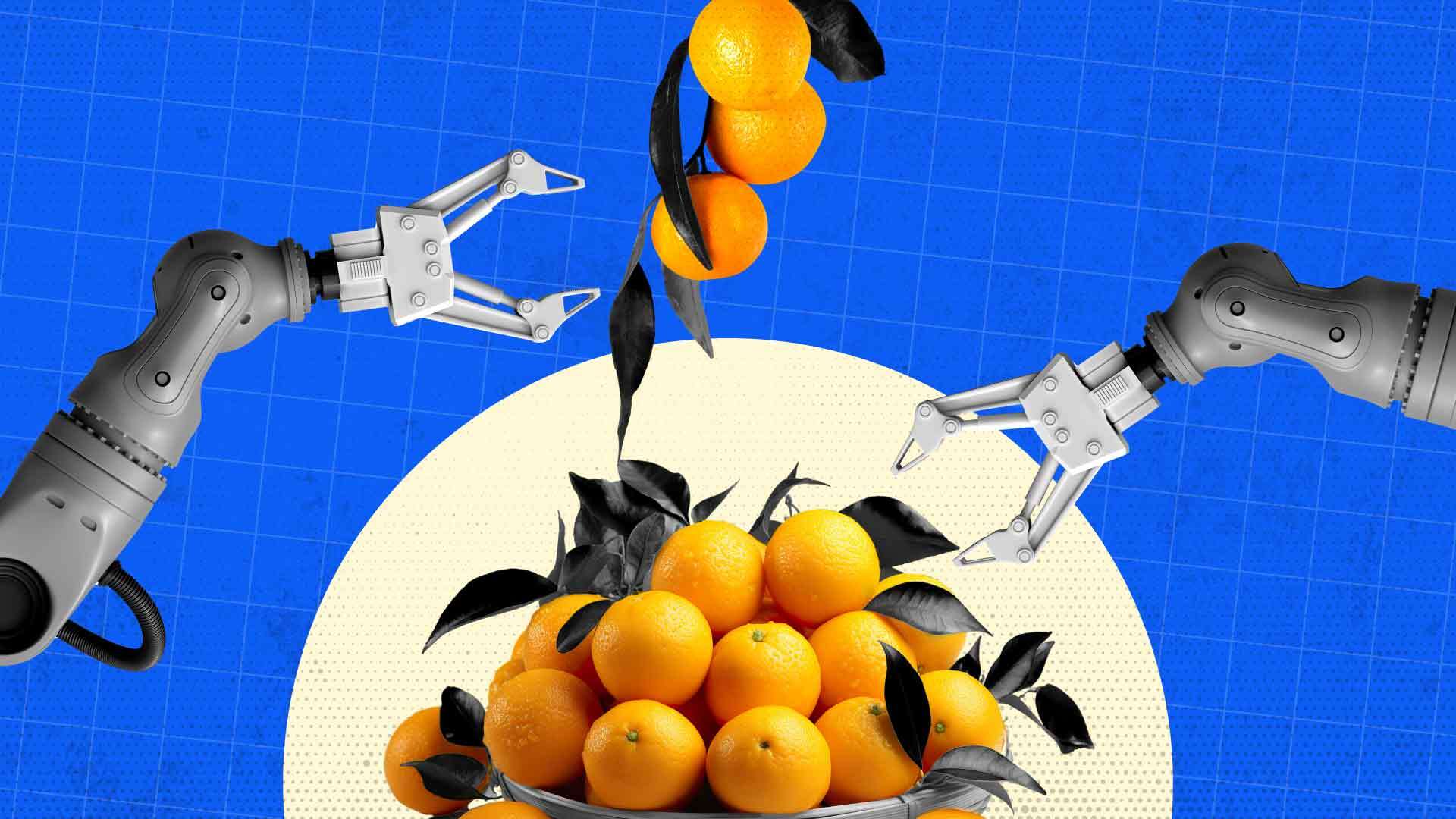 Maximize efficiency and profitability with PSA software