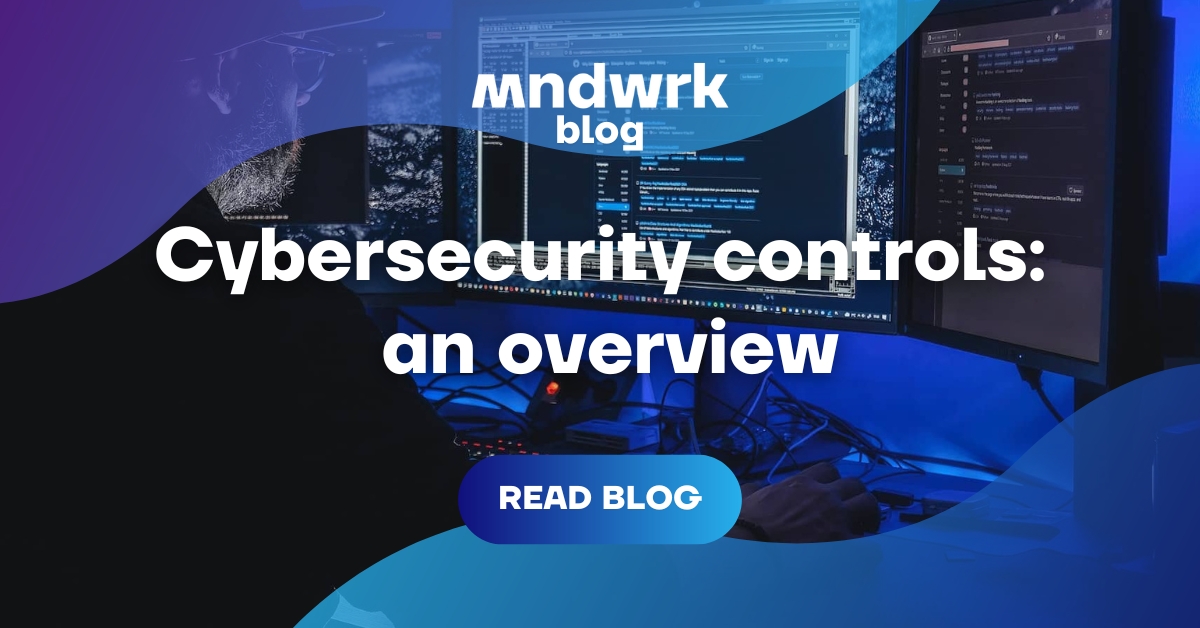 Mndwrk Blog - Cybersecurity controls: an overview