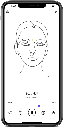 Seal Hall Point - ExHN3 Acupuncture Point - 印堂