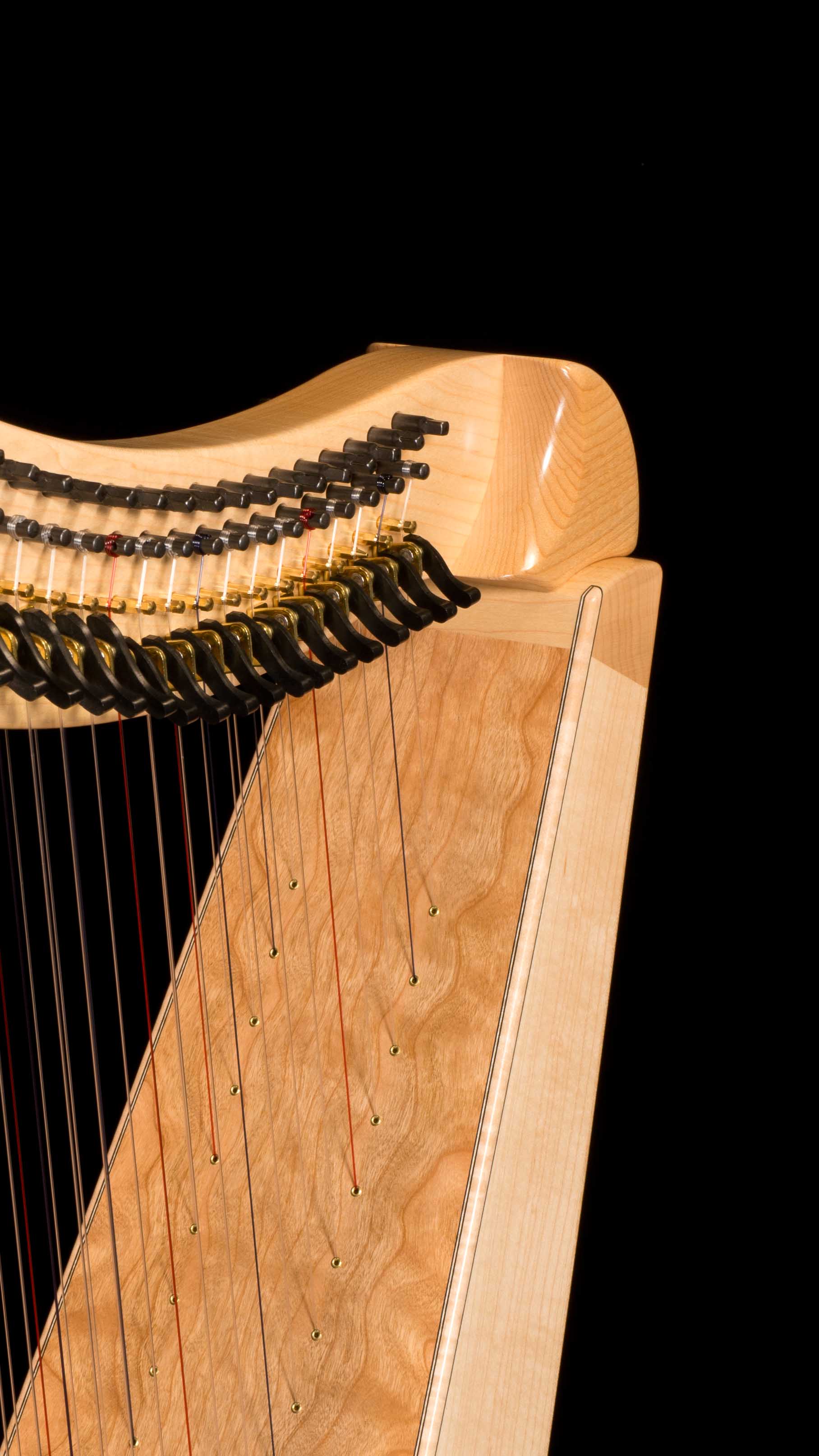 FH26 Double-Strung Lever Harp | Dusty Strings