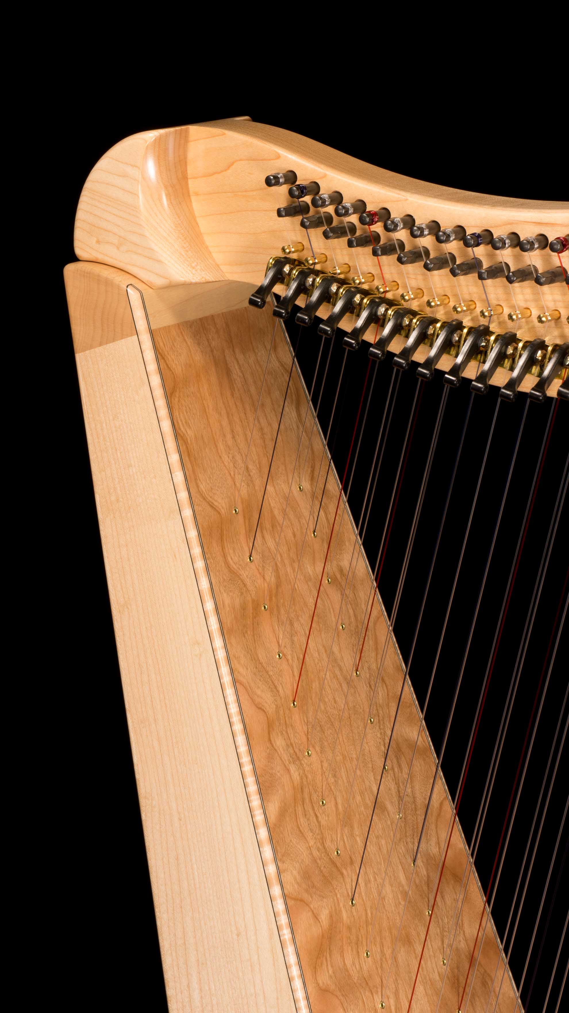 FH26 Double-Strung Lever Harp | Dusty Strings