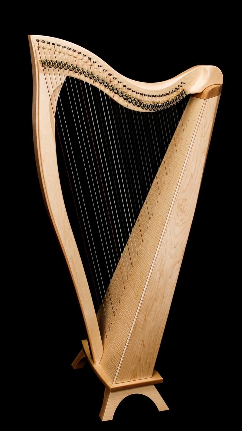 Browse Harp Models | Dusty Strings
