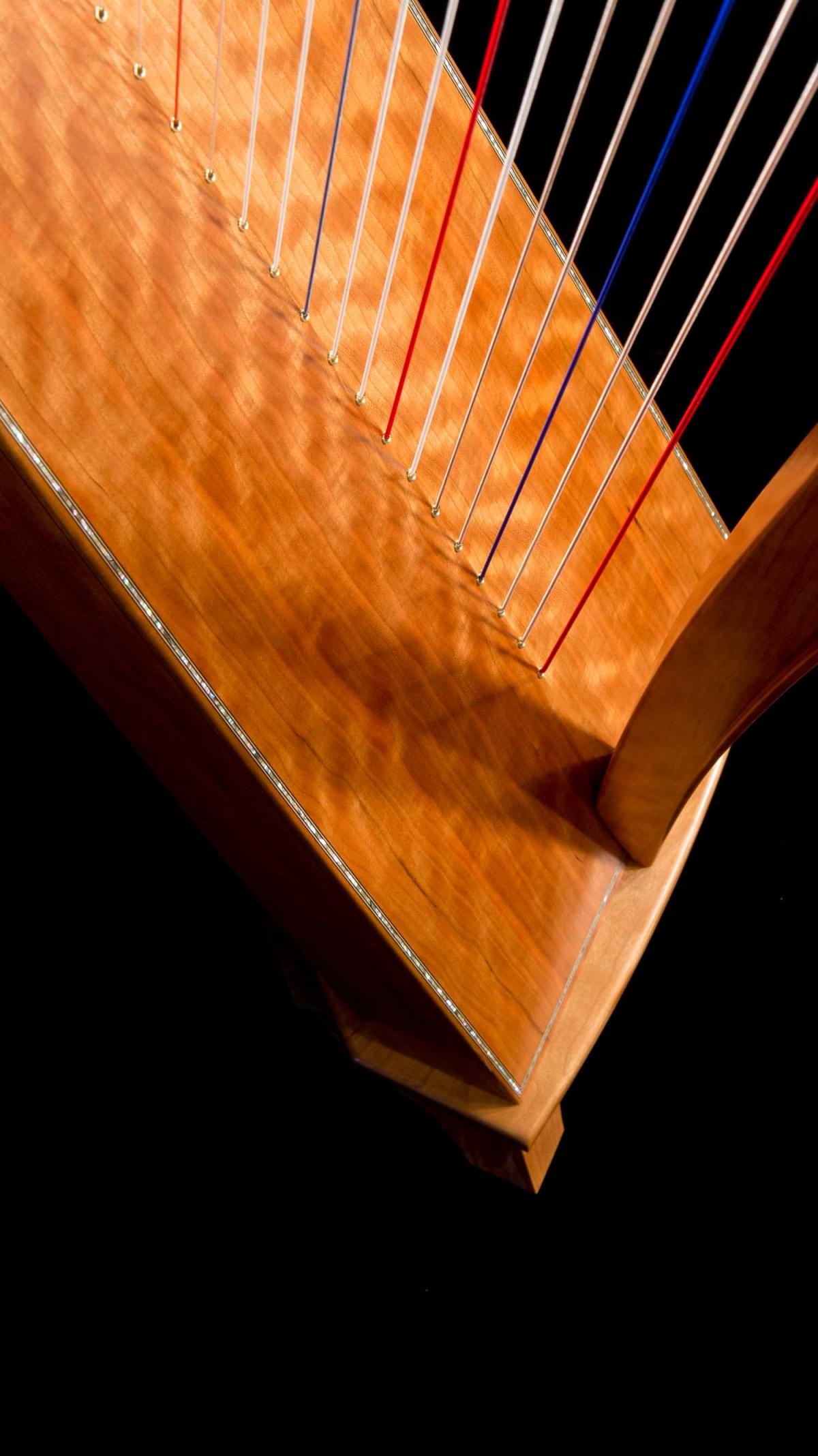 40th Anniversary Limited Edition FH36S | Dusty Strings