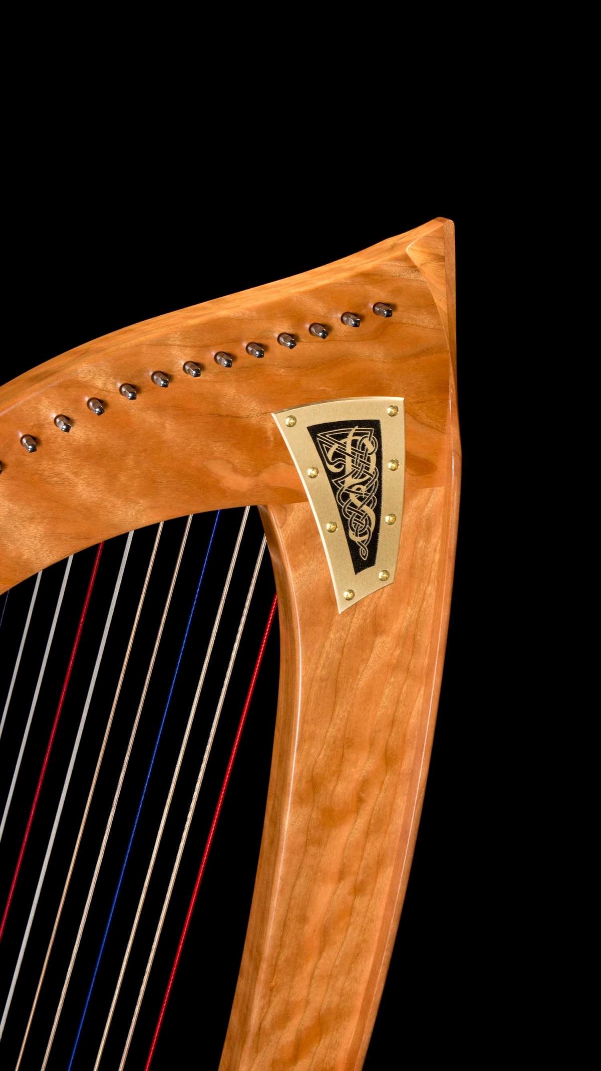 40th Anniversary Limited Edition FH36S | Dusty Strings