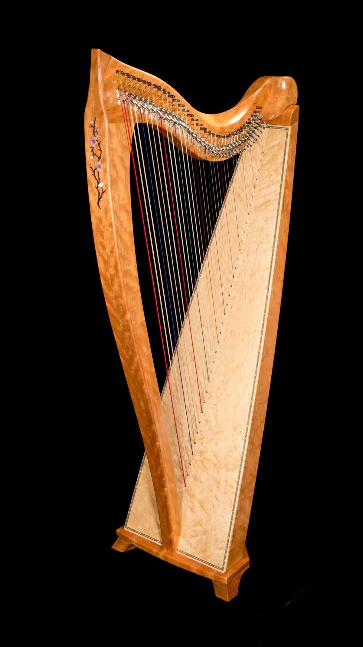 40th Anniversary Limited Edition FH36S | Dusty Strings