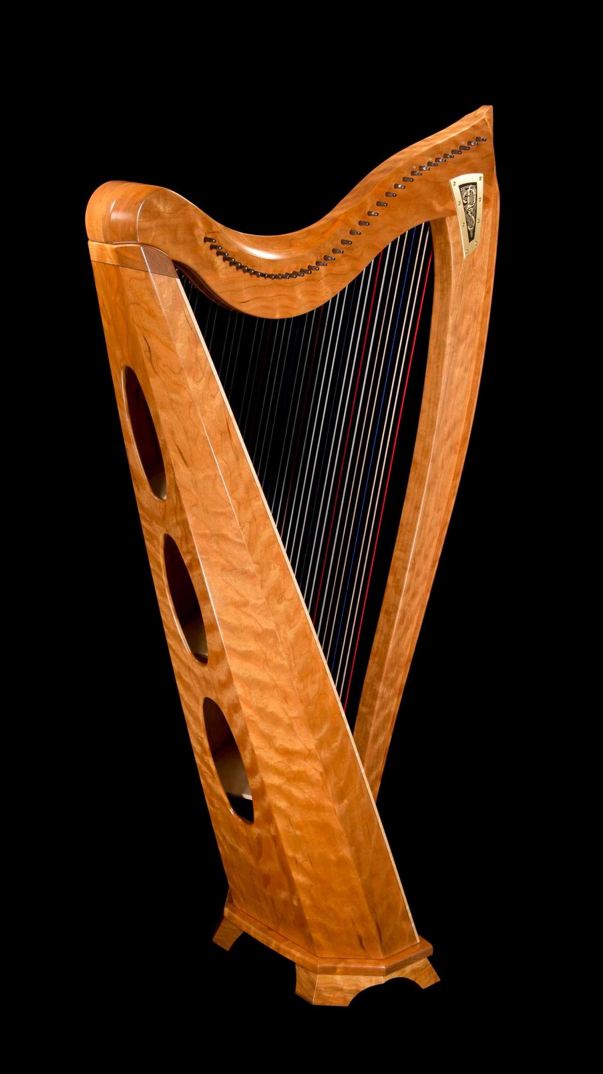 40th Anniversary Limited Edition FH36S | Dusty Strings