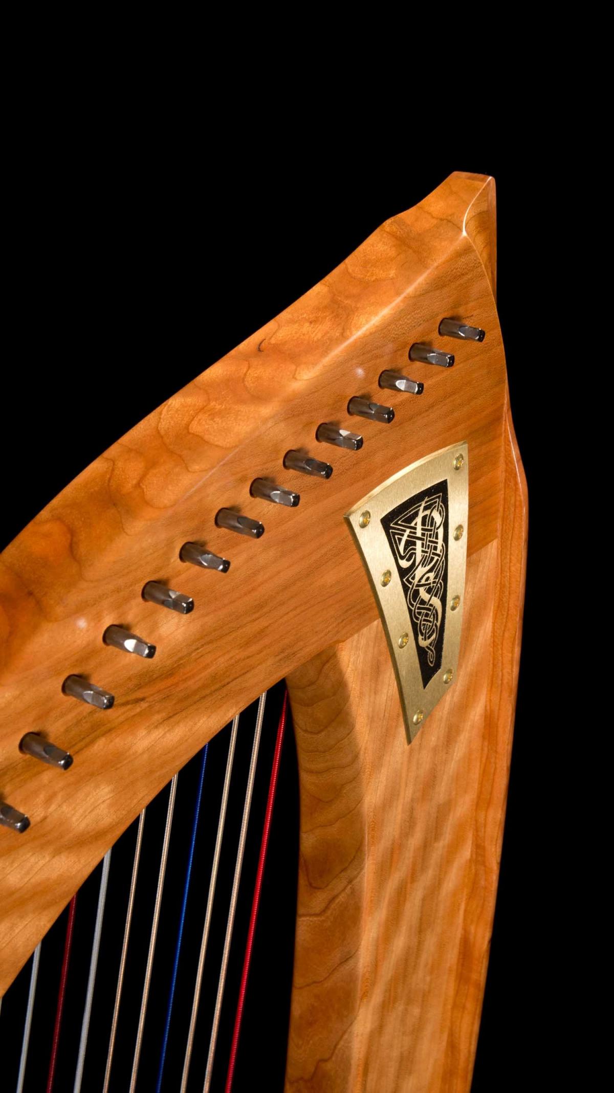 40th Anniversary Limited Edition FH36S | Dusty Strings