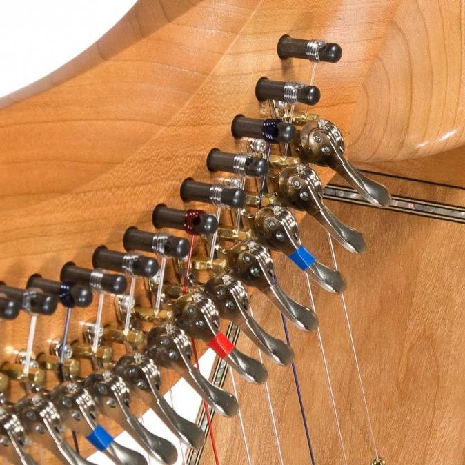 Can I put fluorocarbon strings on my Dusty Strings harp? | Dusty Strings