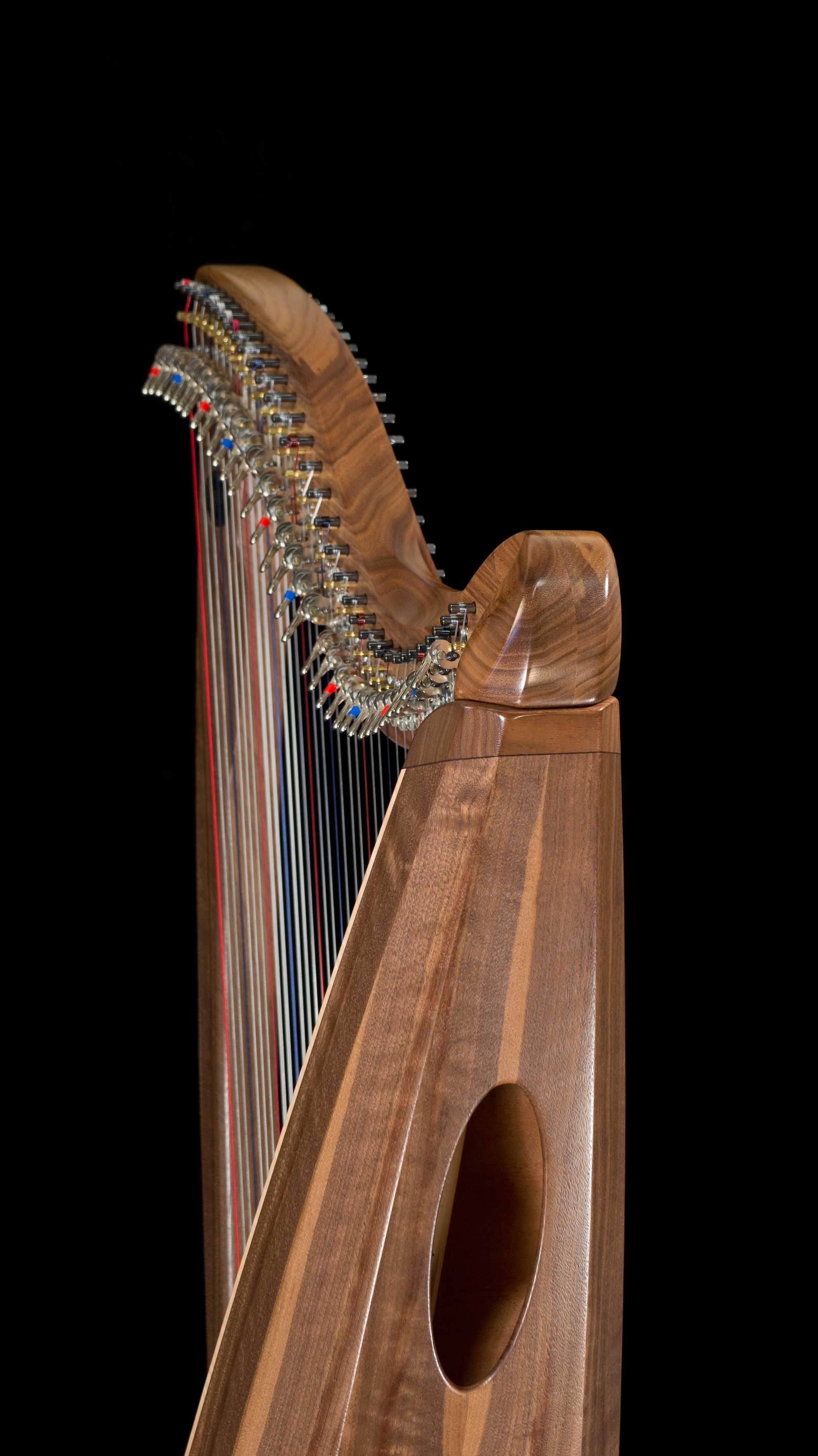 FH34S Lever Harp | Dusty Strings