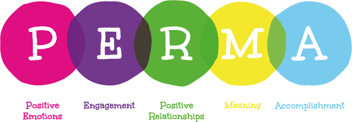 The SEARCH framework for wellbeing for our school mental health programmes