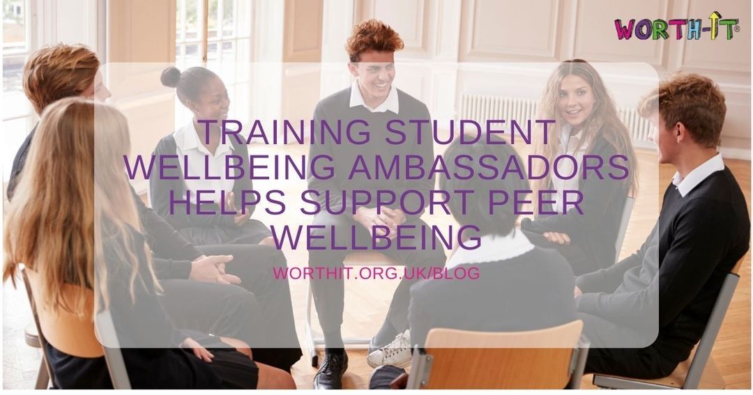 How training student wellbeing ambassadors helps support peer wellbeing