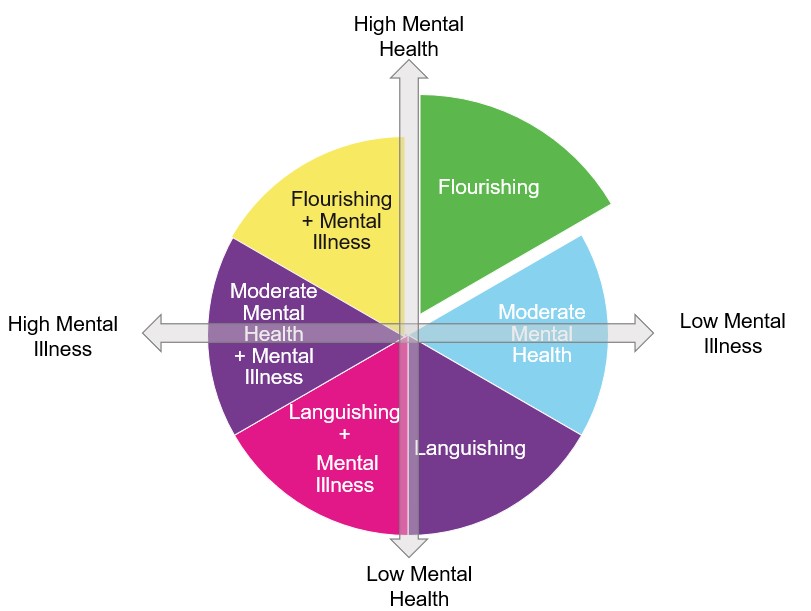 Mental health lesson plans - a wellbeing framework to help plan lessons