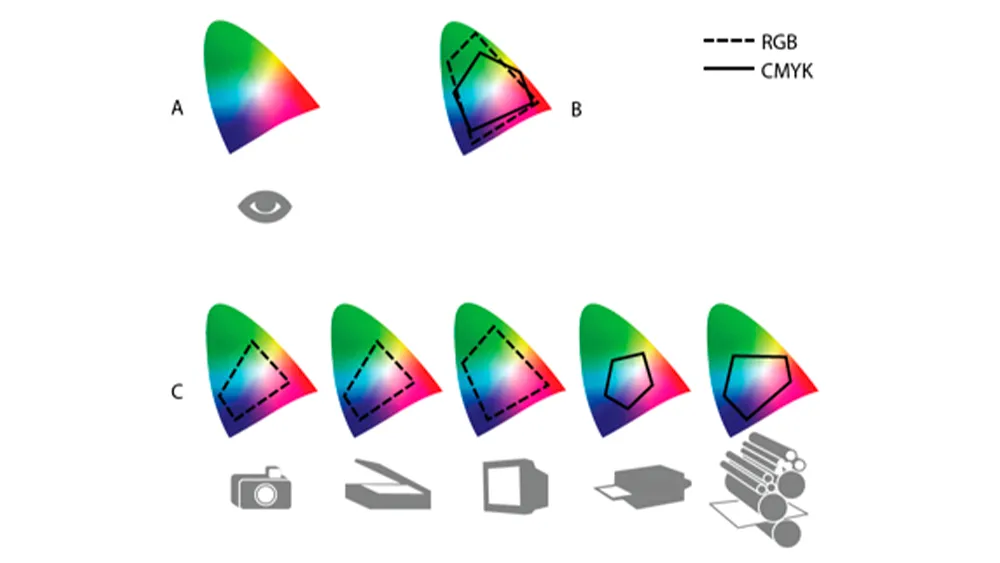 Earn Your Photoshop Certification - Adobe Certified Professional