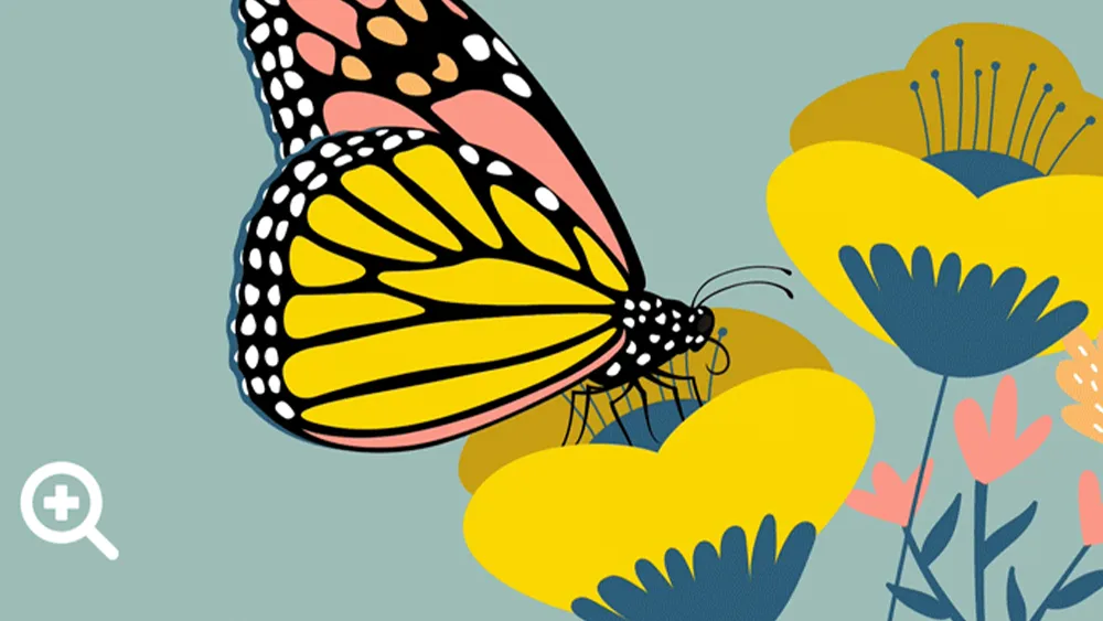 Earn Your Photoshop Certification - Adobe Certified Professional