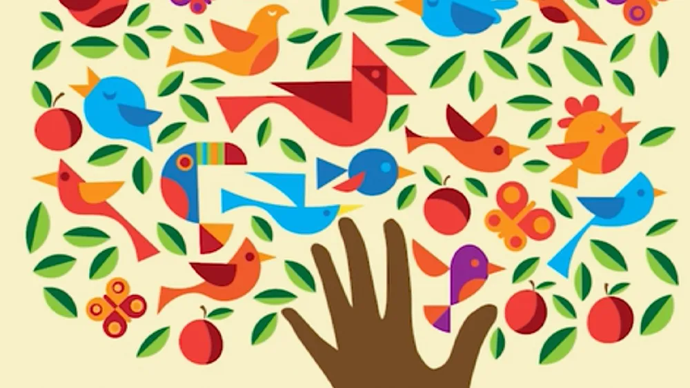 Earn Your Illustrator Certification - Adobe Certified Professional