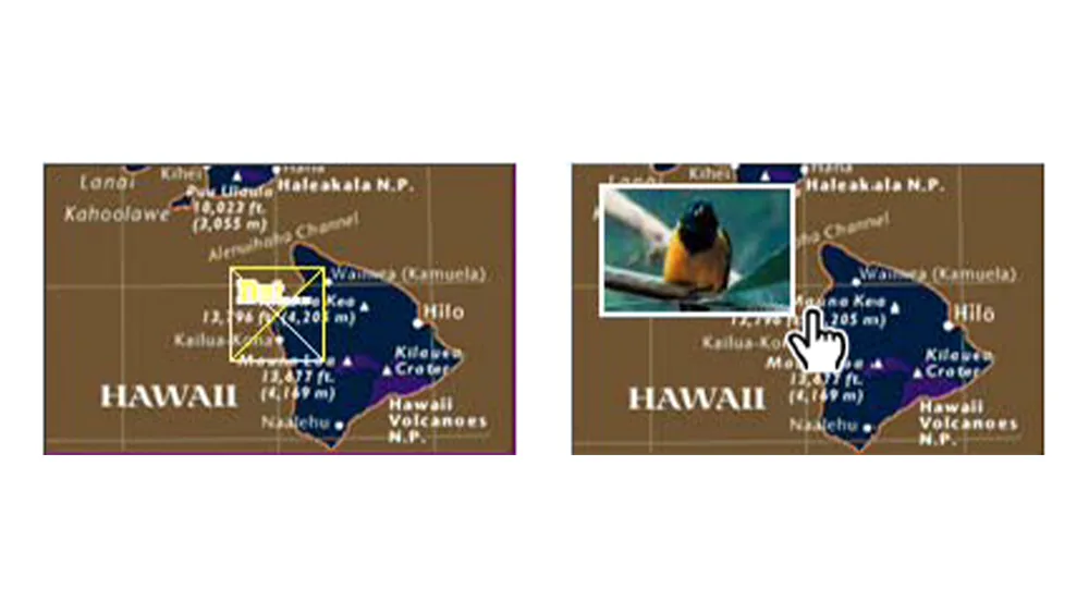 Become InDesign Certified - Adobe Certified Professional