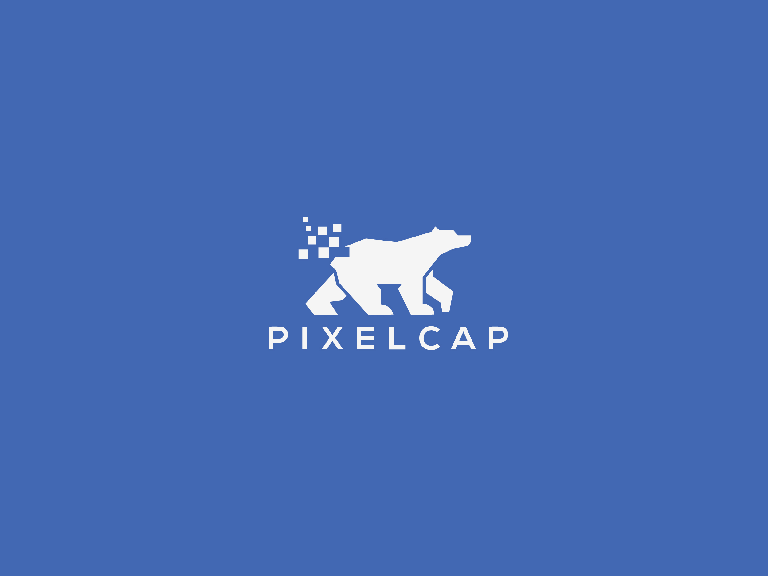 PixelCap