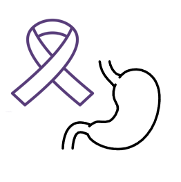 Drivers of Therapy Selection in Metastatic Gastric Cancer