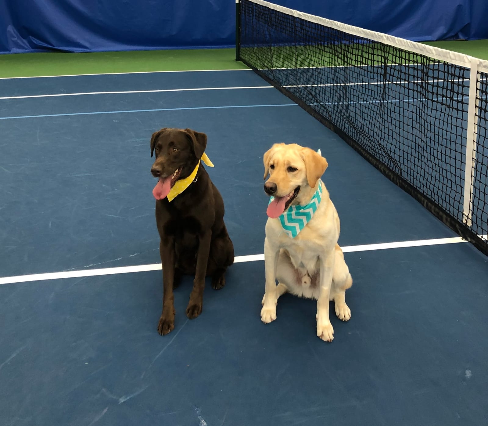 Home | Delcastle Tennis Center