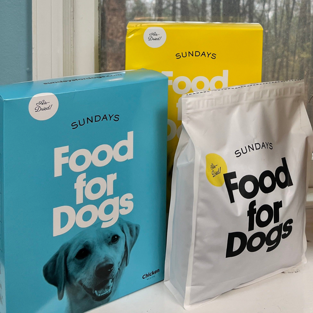 Five Reasons My Vet Suggests Sundays For Dogs