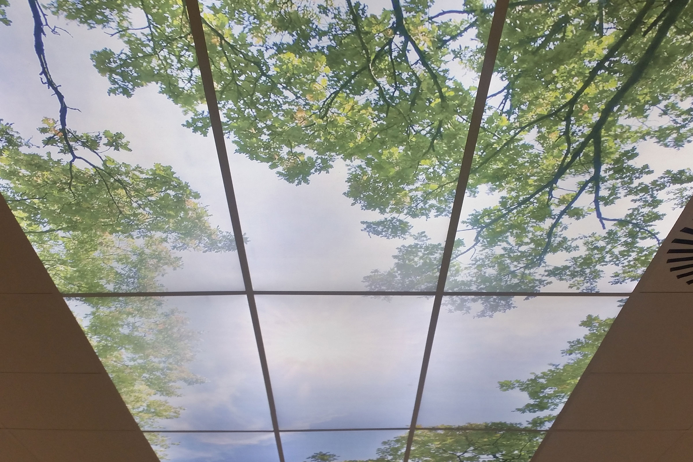 Virtual Skylights