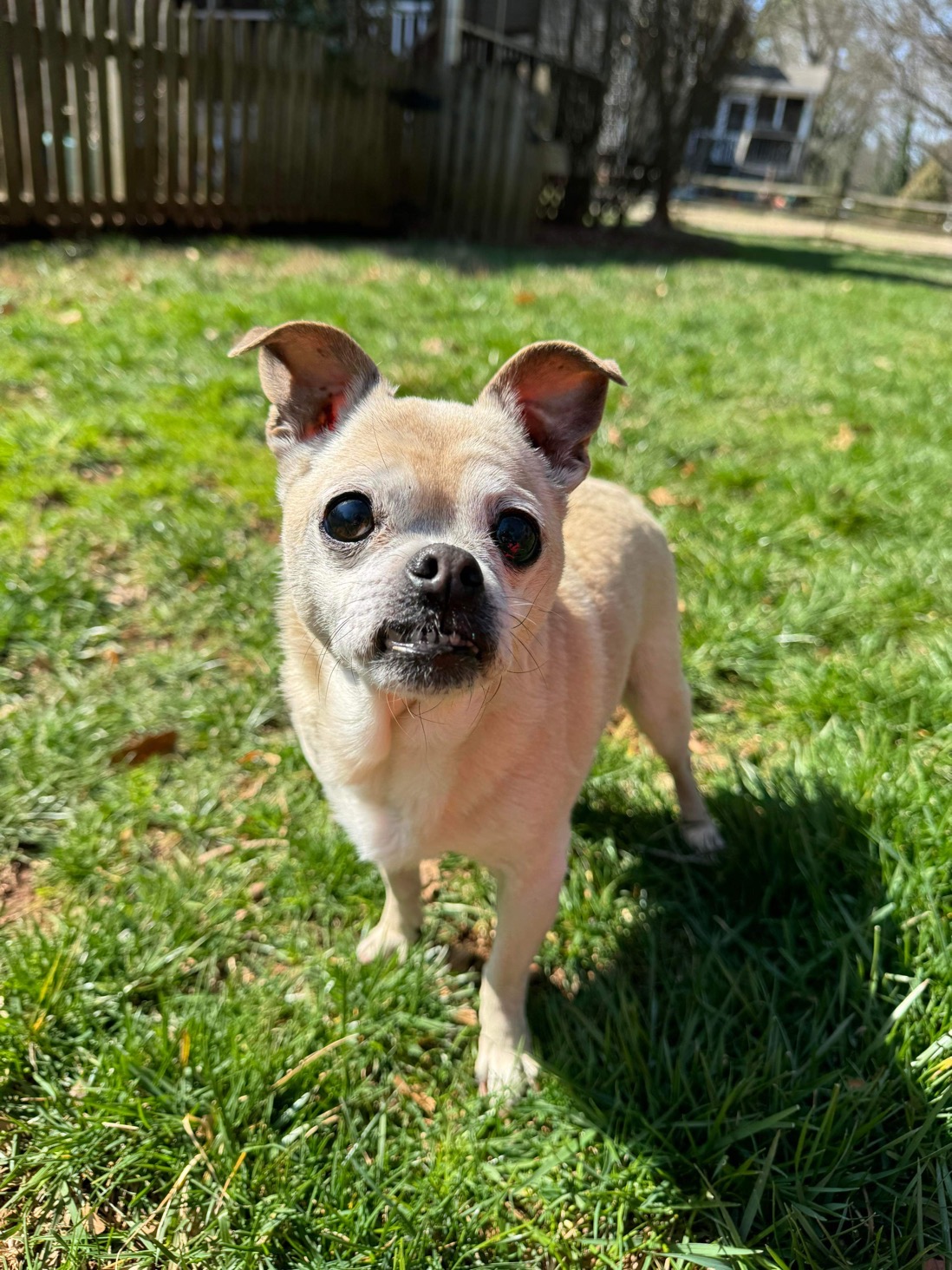 Forgotten, Now Family Rescue