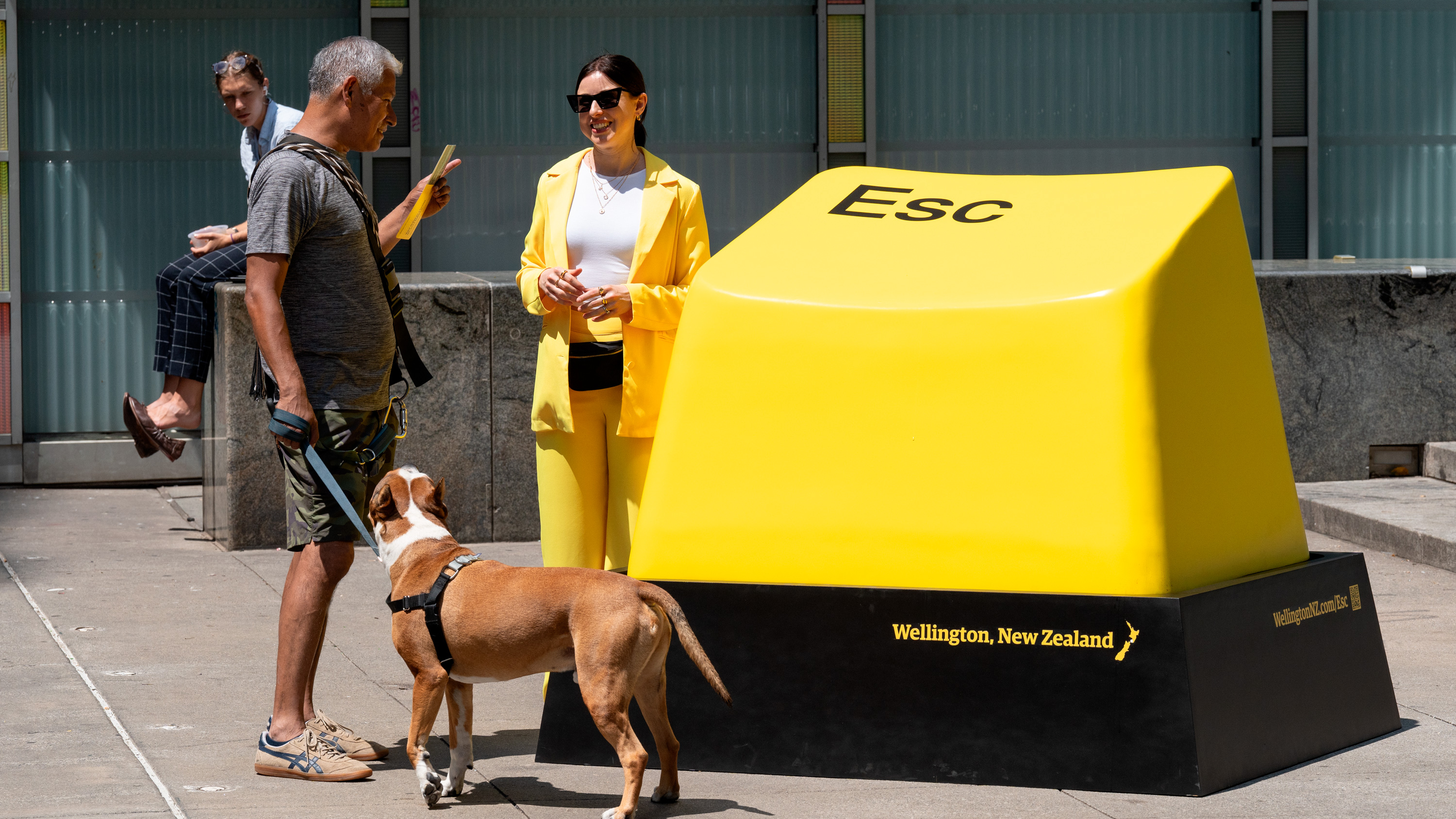 WellingtonNZ – Escape to Wellington | EightyOne