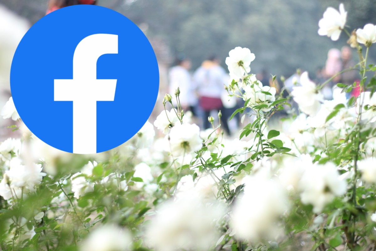 How to Livestream a Funeral on Facebook - EventLive