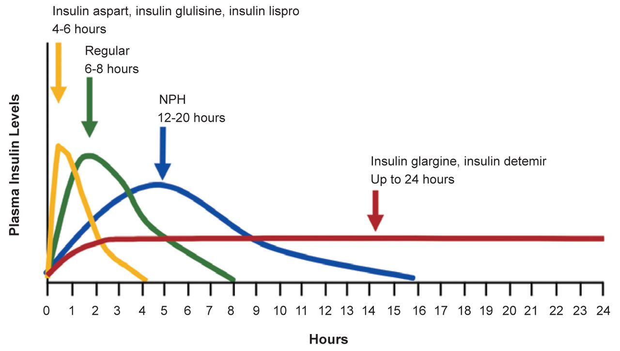 Insulin Basics