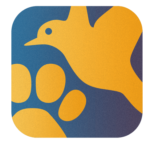 Airport Operations Software | Aerosimple