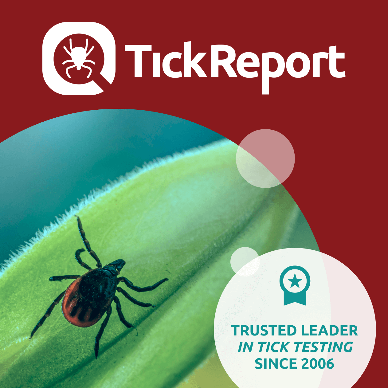 Cloud Construct Case Studies