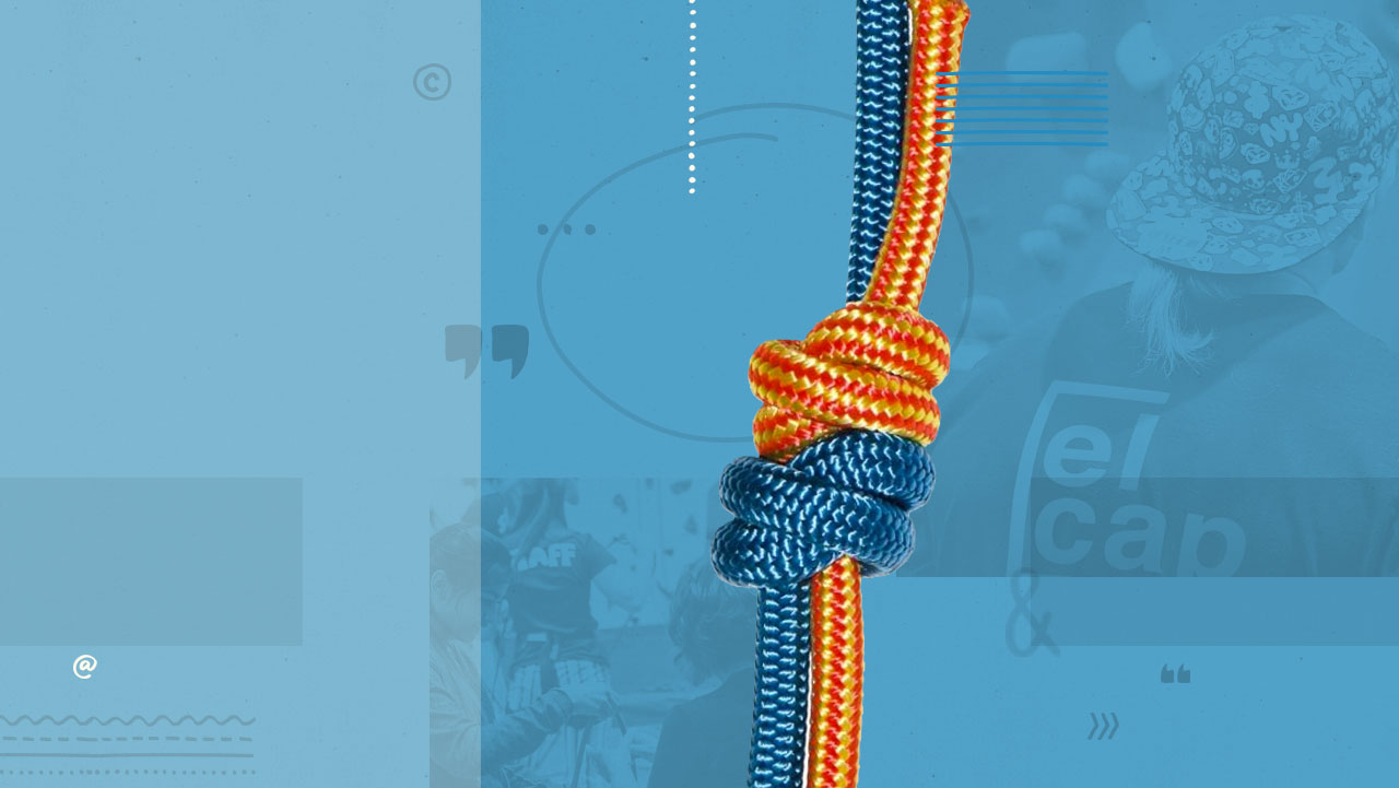 Wildstory Case Study - Two brands. One roof.