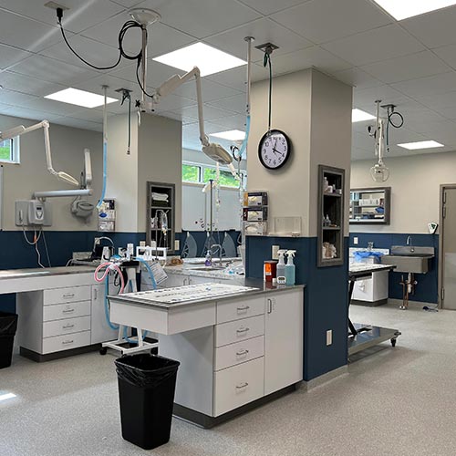 Our Facility I Onalaska Animal Hospital